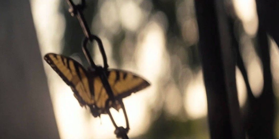 Zack Snyder's Justice League: Superman's Butterfly Moment Is a Man of ...