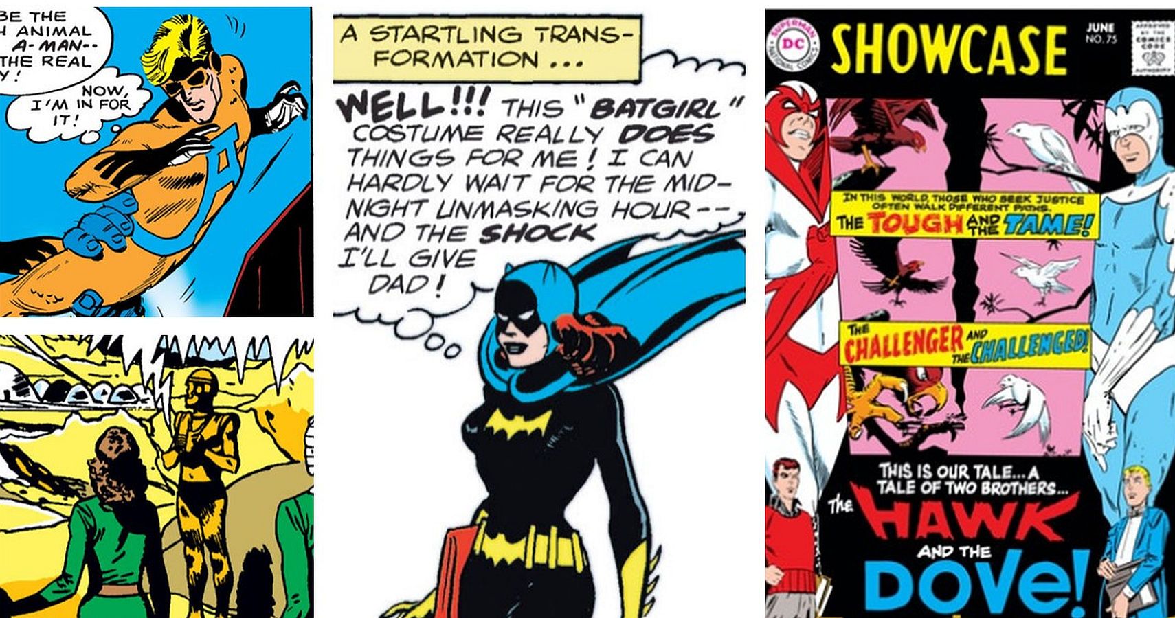 10 Forgotten Heroes Introduced During DC's Silver Age