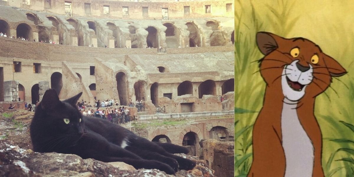 10 Things You Didn't Know About The Aristocats