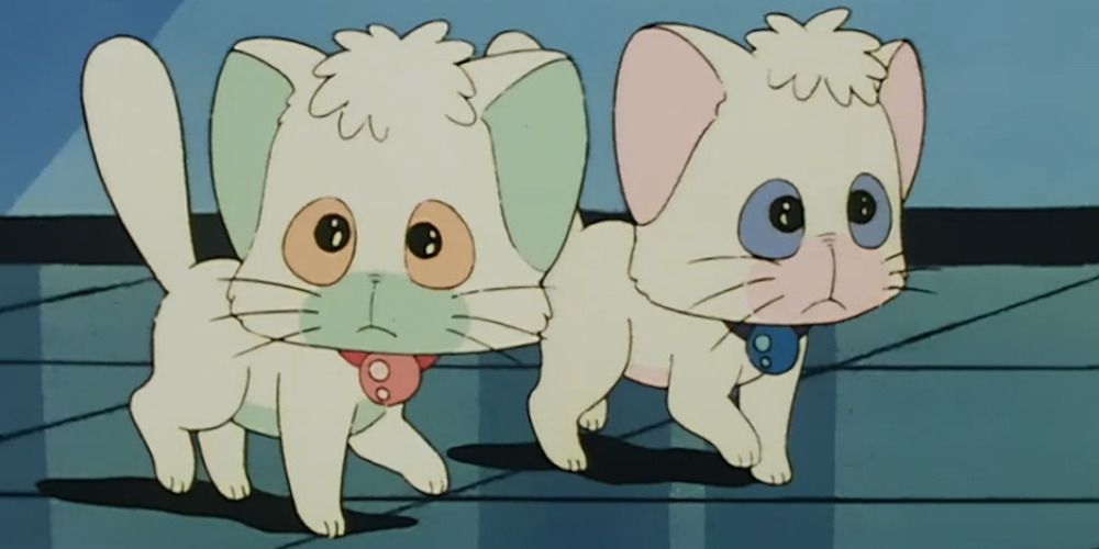 11 Most Loyal Felines In Anime, Ranked