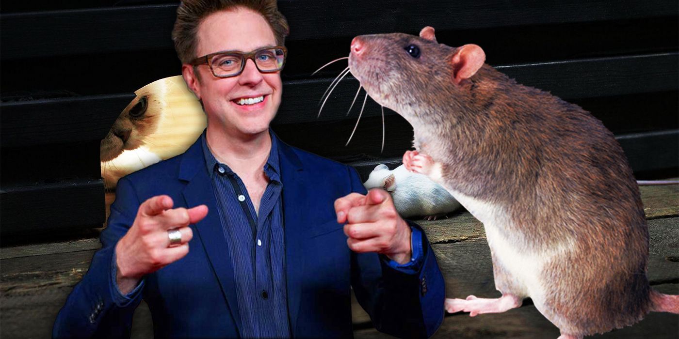 James Gunn Hopes The Suicide Squad Inspires Pet Rat Adoption