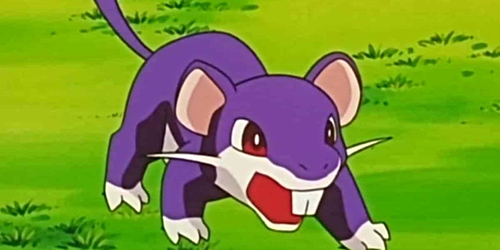 Pokémon: How Rattata Could Beat Goku