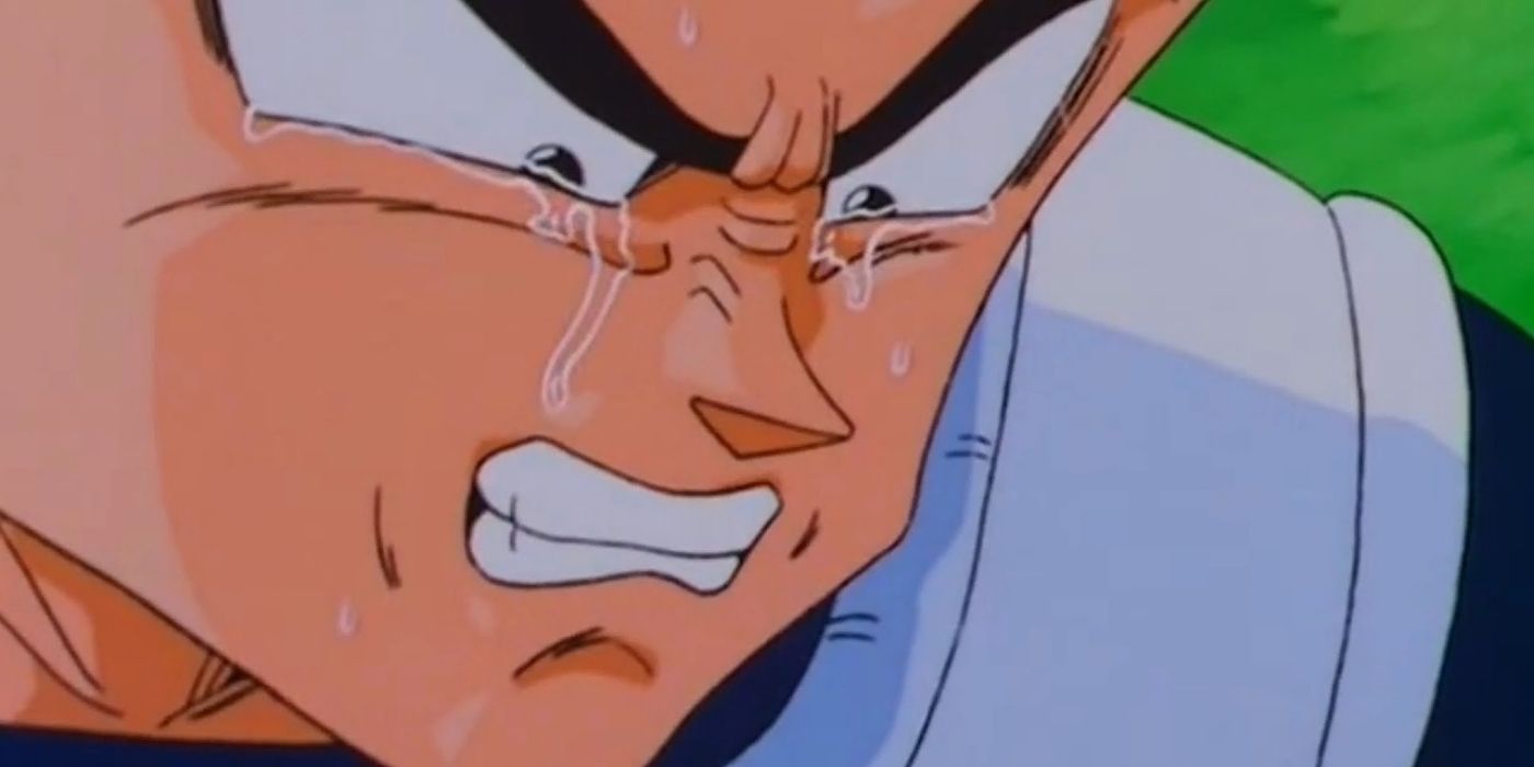 Dragon Ball: 10 Ways Goku Made Vegeta A Better Person