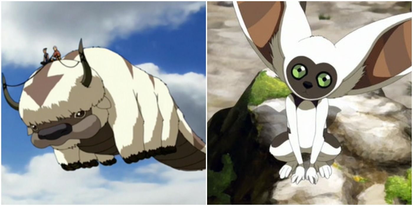 Avatar The Last Airbender: 10 Best Voice Actors In The Show, Ranked