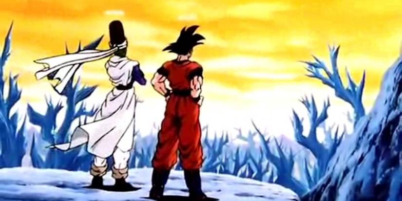 Dragon Ball: 10 Things You Need To Know About Fallen Fighter, Pikkon