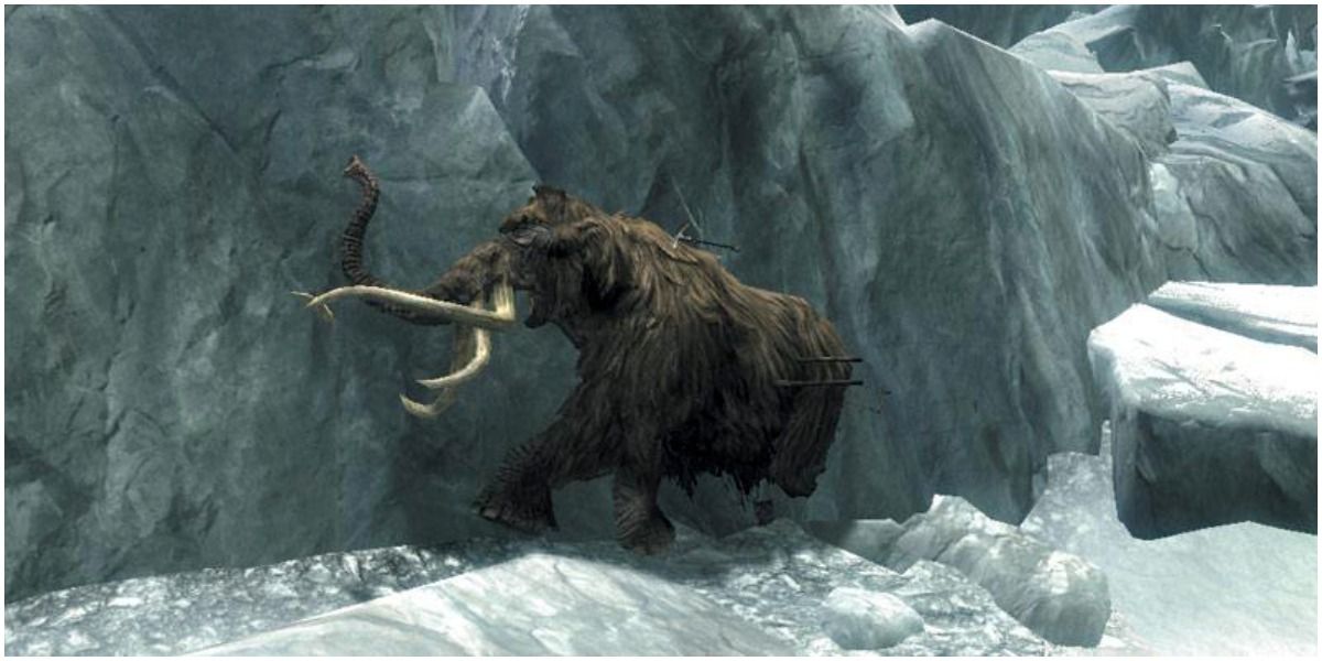 Skyrim: 10 Best Easter Eggs In The Game