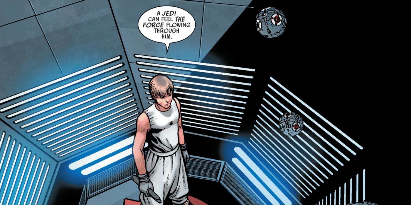 Star Wars: Luke Took His Training to a New Level After Empire Strikes Back