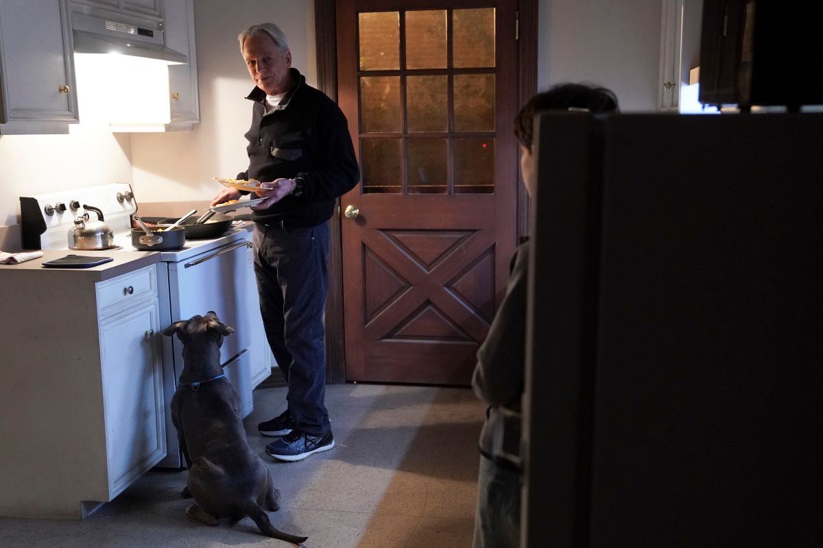 NCIS: Why Gibbs Should've Let Phineas Stay With Him