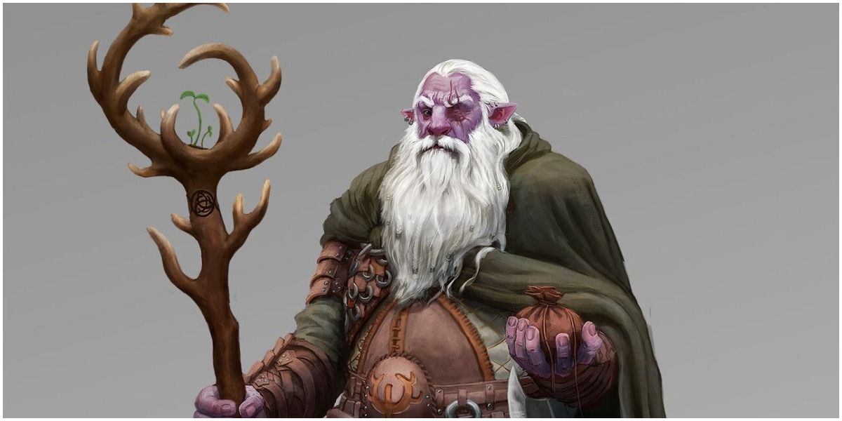 D&D: 10 Ways That Druids Can Improve Your Party