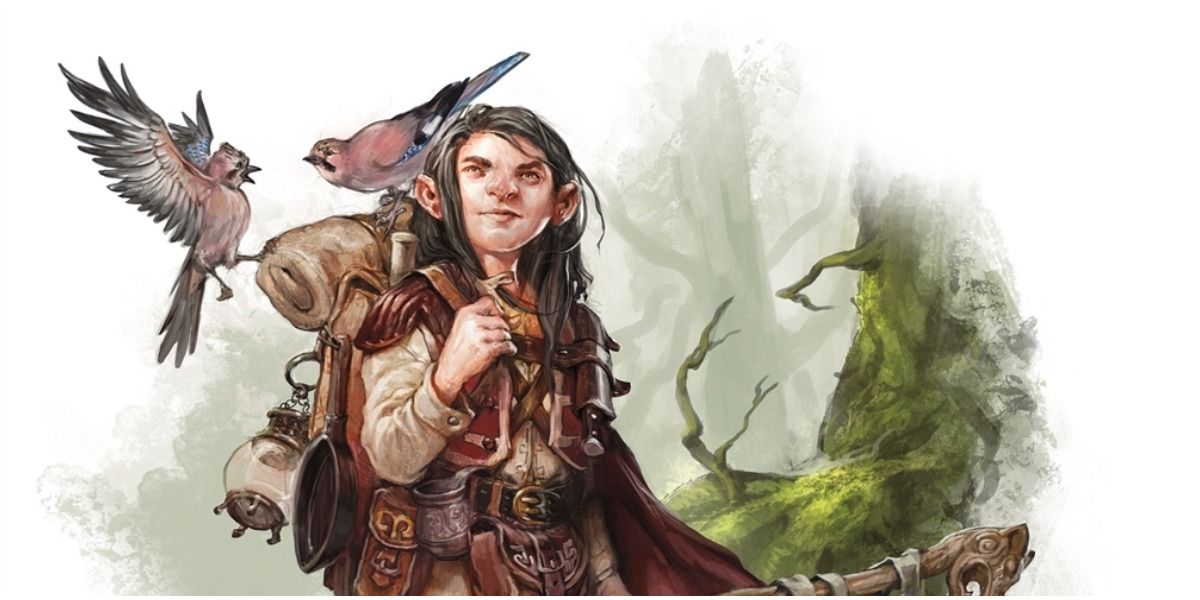 D&D: 10 Ways That Druids Can Improve Your Party