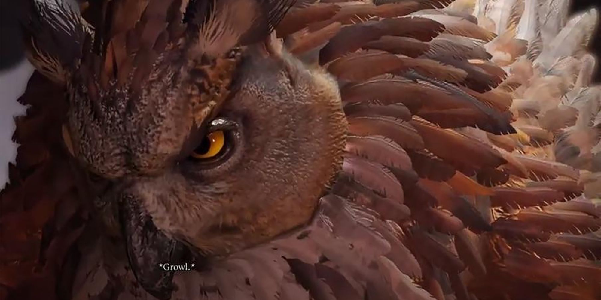 DND: 5 Owlbear Facts to Know