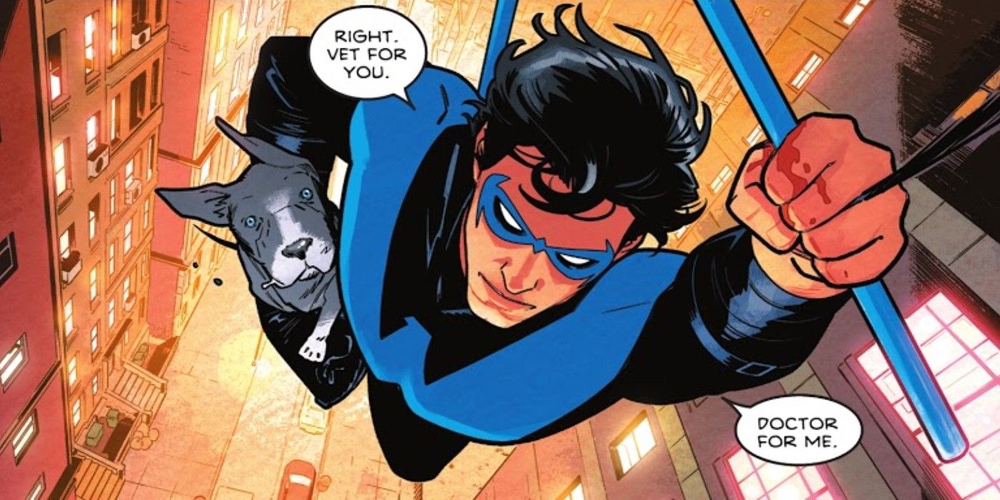 Nightwing: 8 Things You Didn't Know About Bitewing