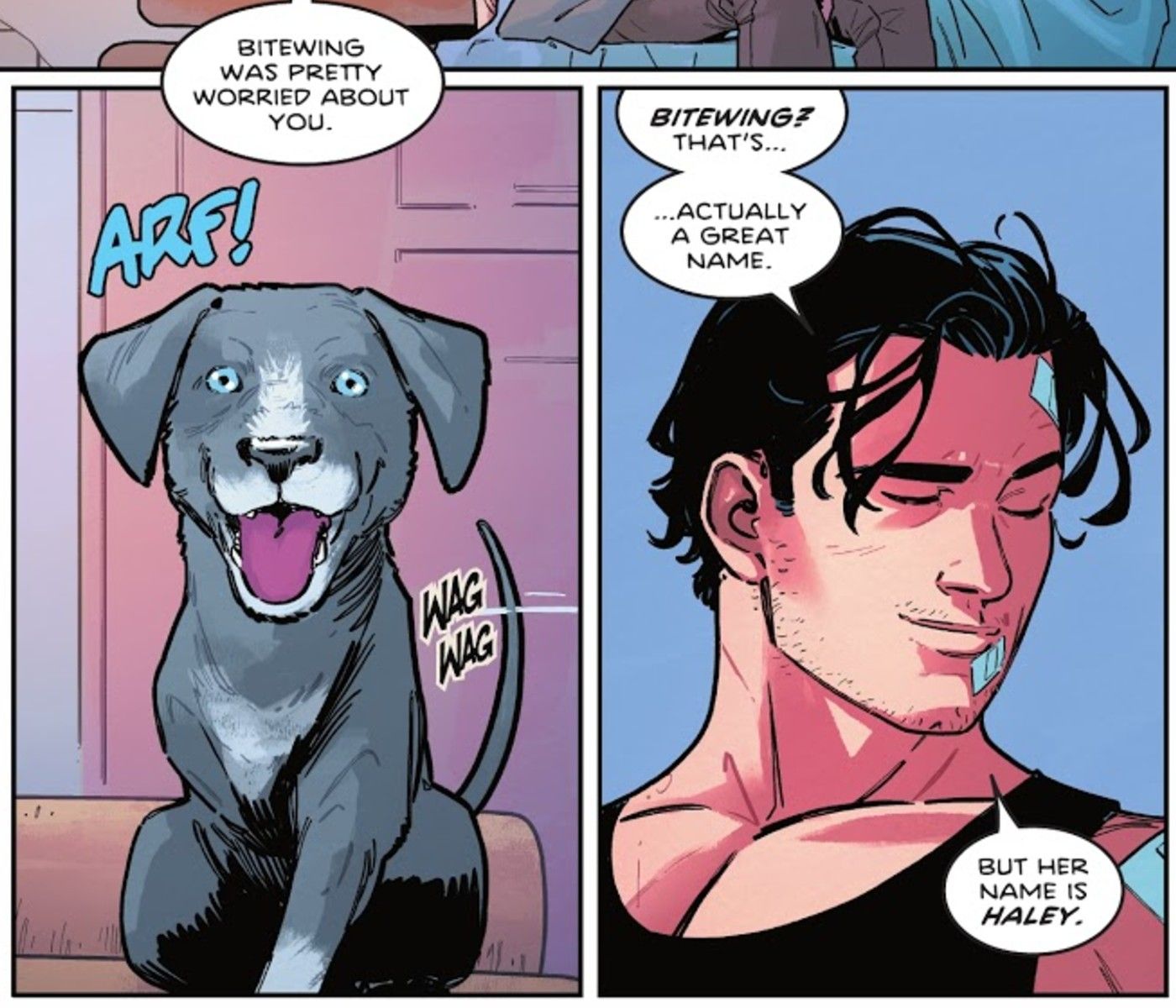 Nightwing: How Bitewing Got Her Secret Identity