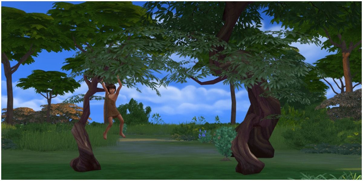 The Sims 4: 10 Features We Want To See In Cottage Living