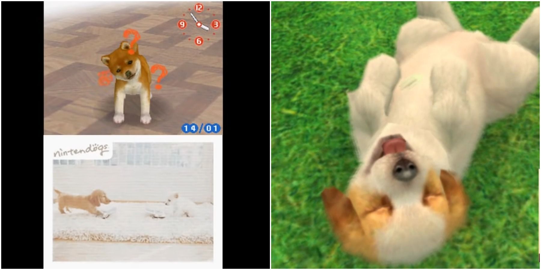 10 Franchises Nintendo Killed (& Why)