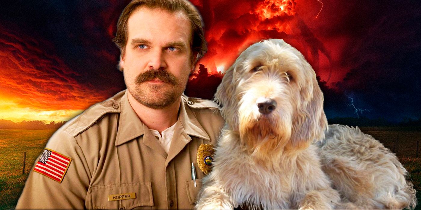 Stranger Things' David Harbour Wanted to Kill the Byers' Dog
