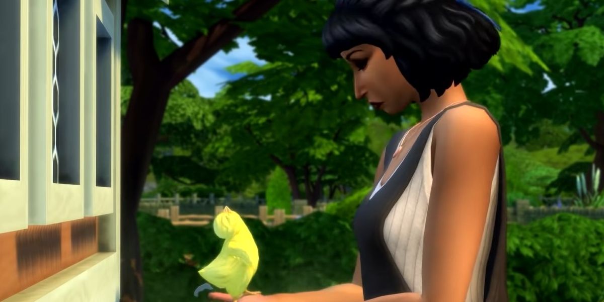 Sims 4: How To Keep Your Chickens Alive & 9 Other Things You Didn't ...