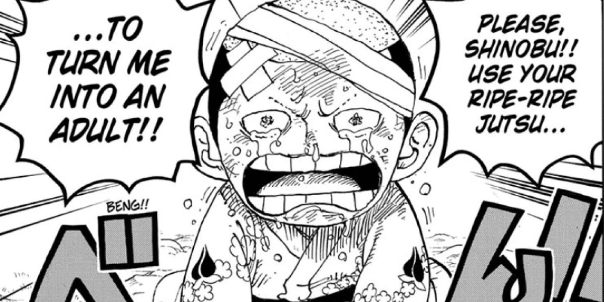 One Piece: Momonosuke's Wish May Turn Him Into an Adult