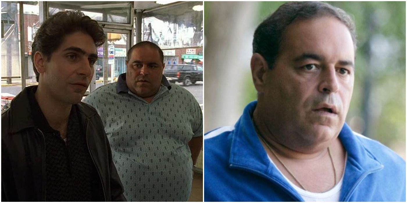 15 Times The Sopranos Recast Actors