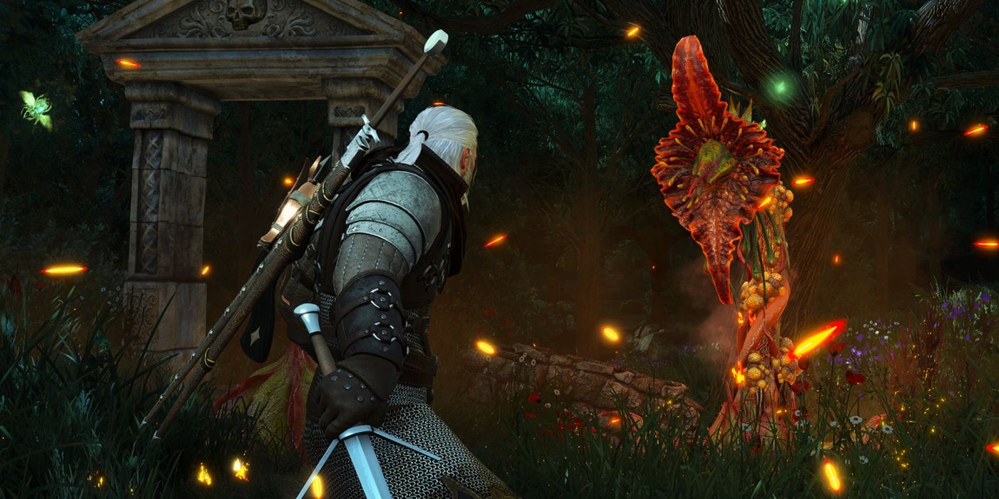 The Witcher Cursed Ones Guide