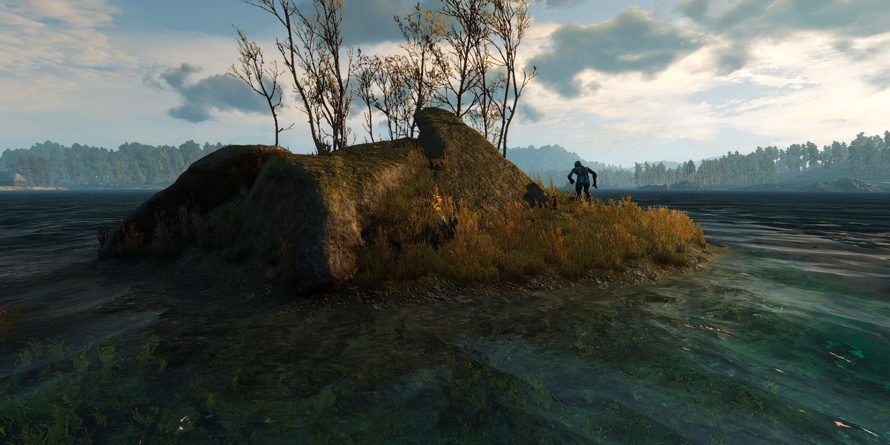 Witcher 3 Wild Hunt Mastercrafted Bear Armor Diagram Locations