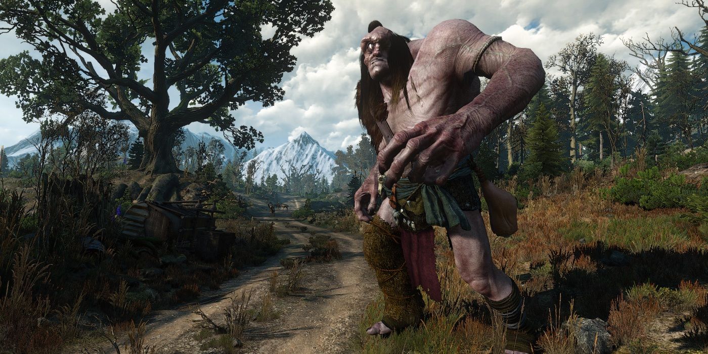 The Witcher's Ogroids Guide