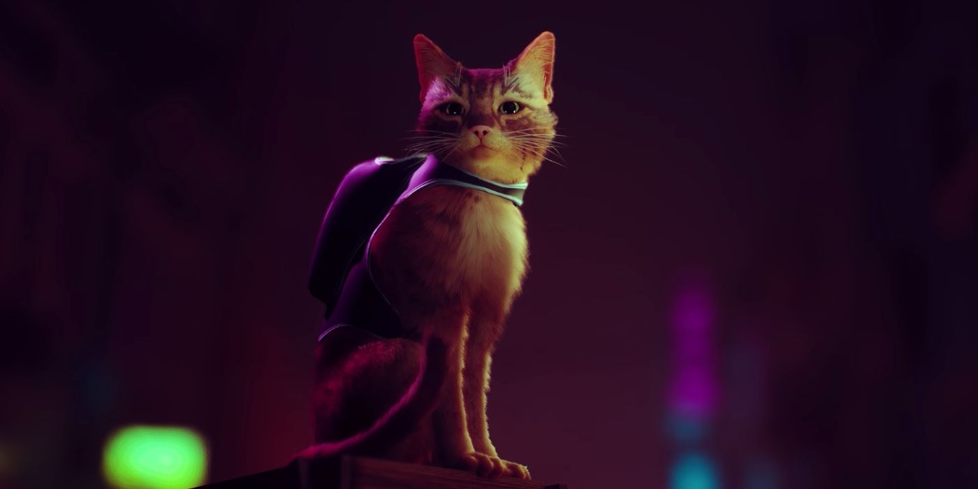 Early Stray Reactions Call the Cat Simulator Pawsitively Addictive