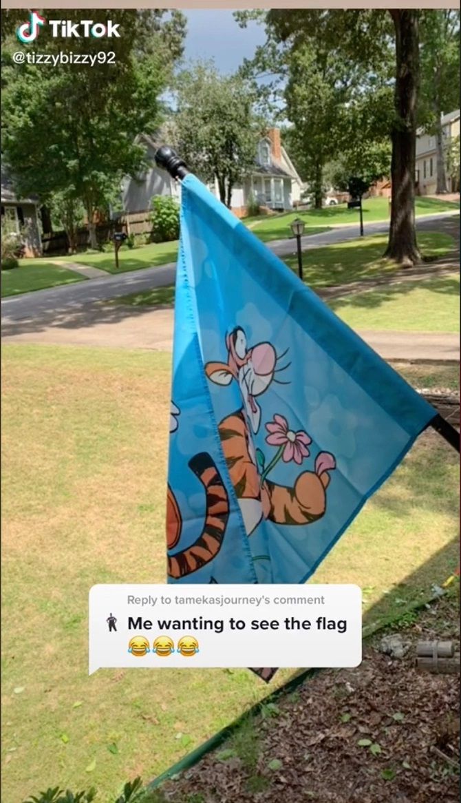 Tigger Flag Leads to a Dispute Between Neighbors in Viral Video