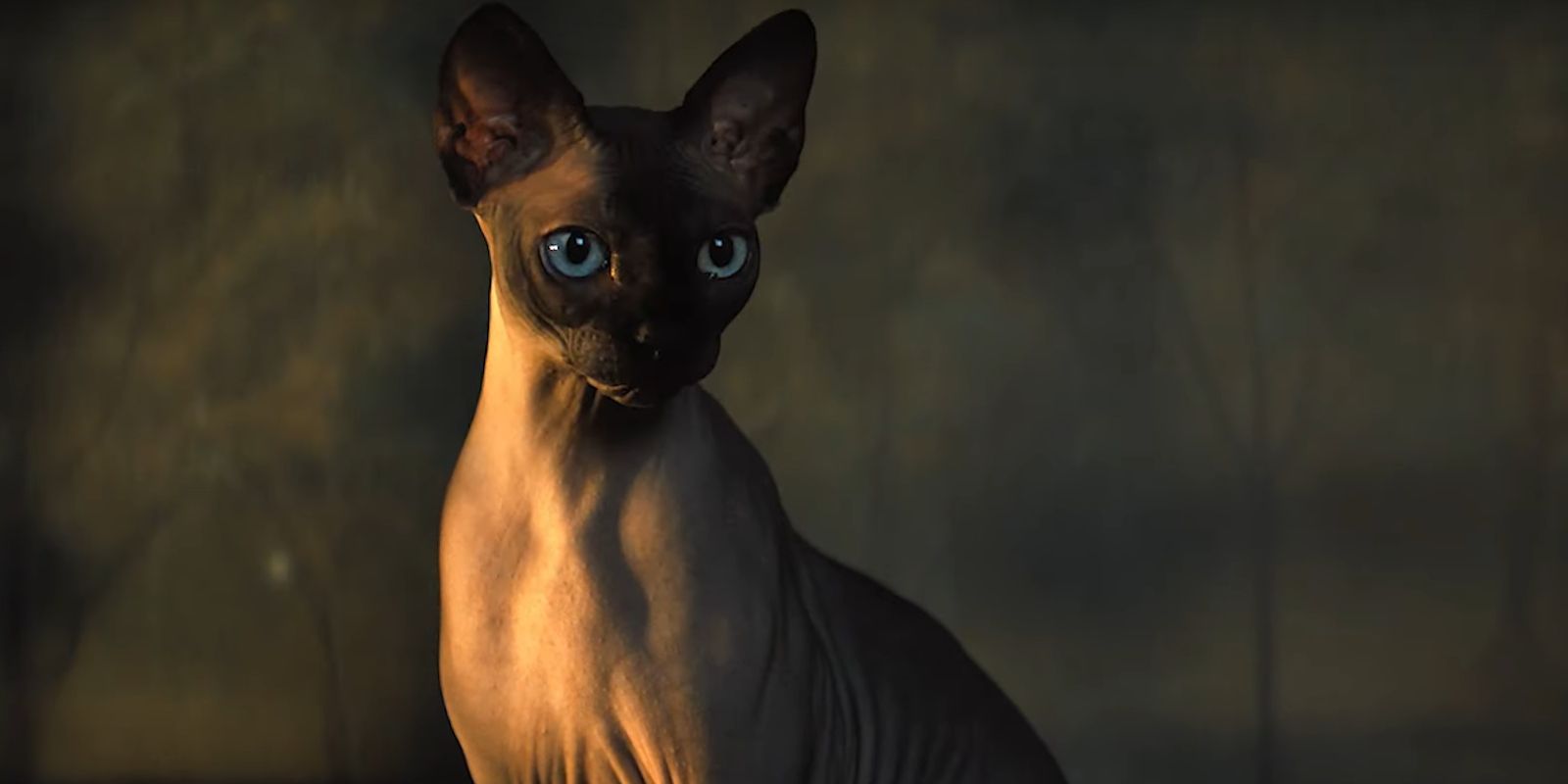 How Netflix's Nightbooks Compares to the Book