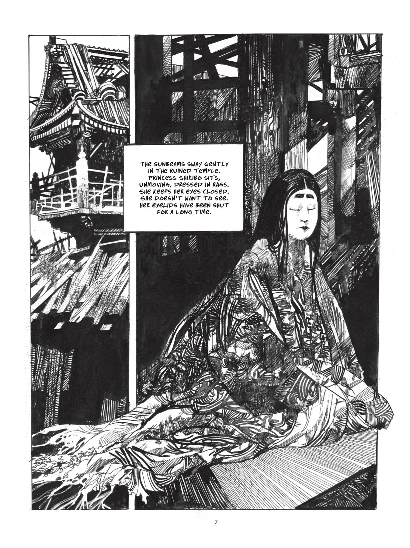 EXCLUSIVE PREVIEW: The Collected Toppi Vol. 6 HC