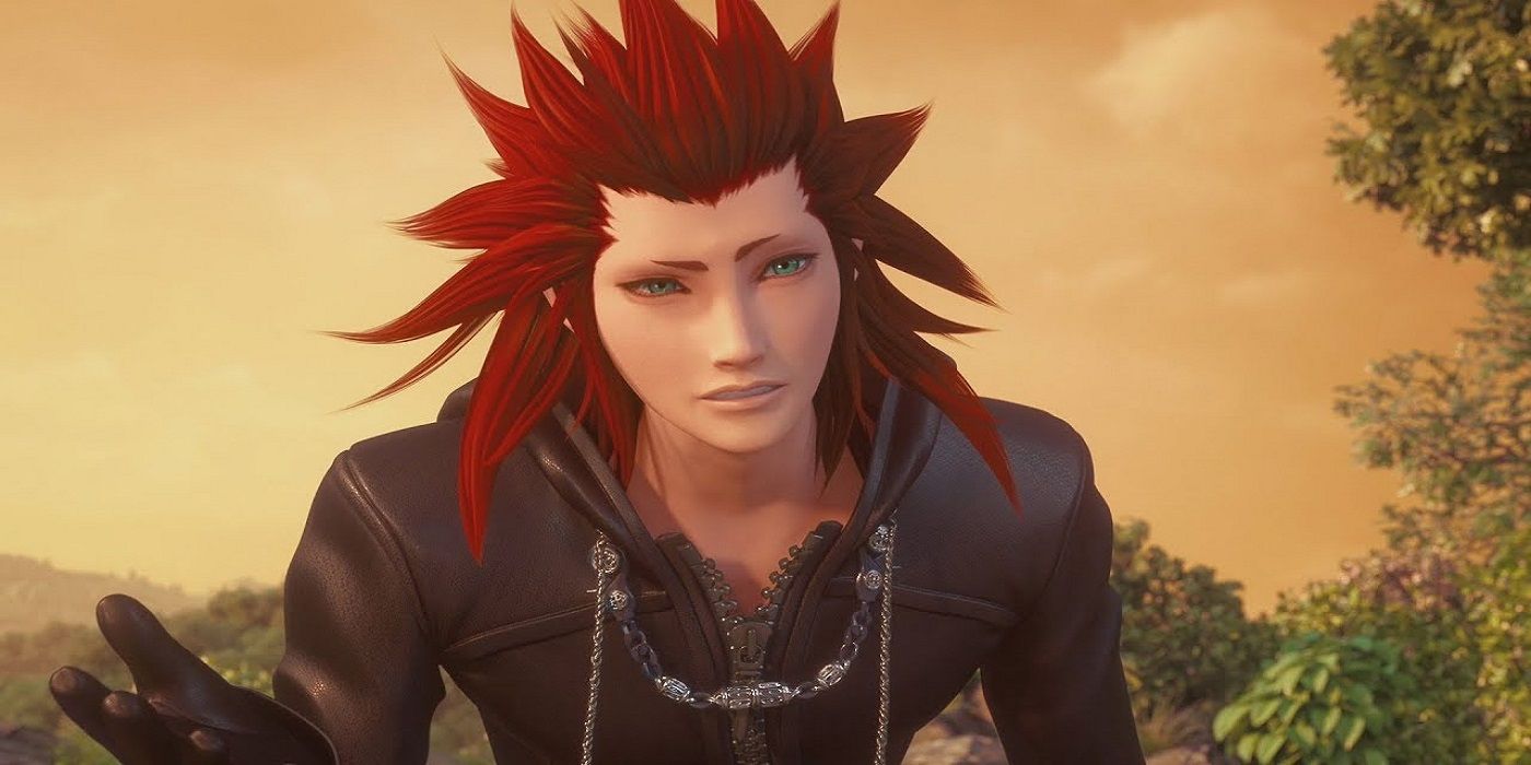 Kingdom Hearts: Roxas' 8 Closest Friends