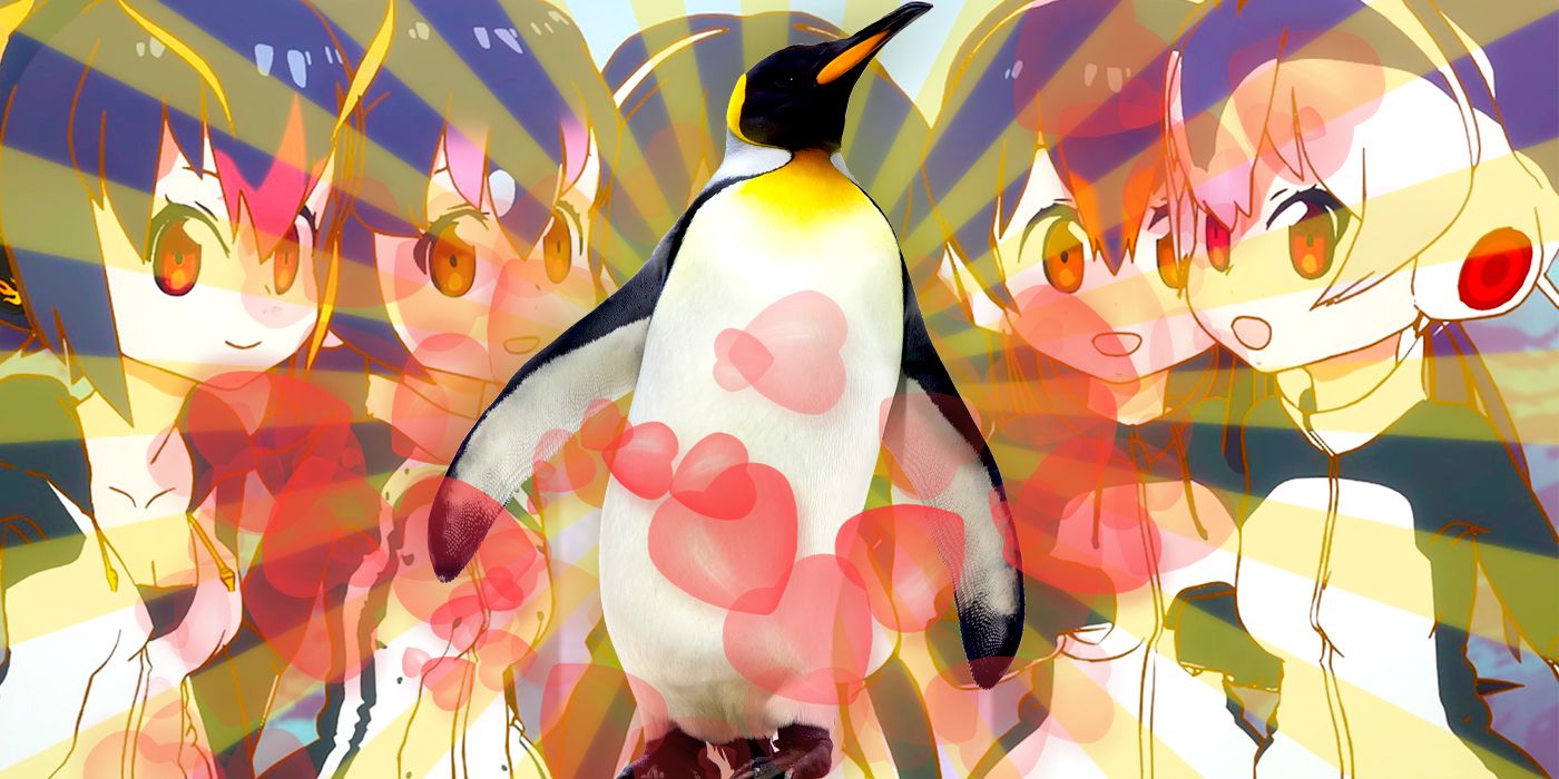 How Anime Saved a Tragic Real Life Penguin's Love Life