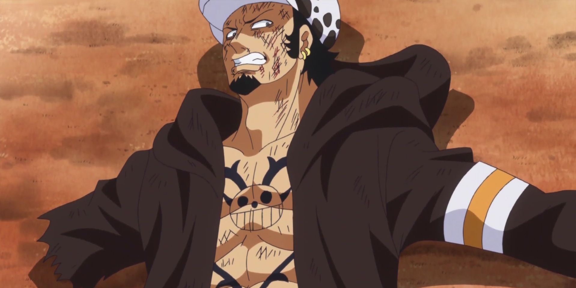 One Piece: 10 Times Plot Armor Saved The Day