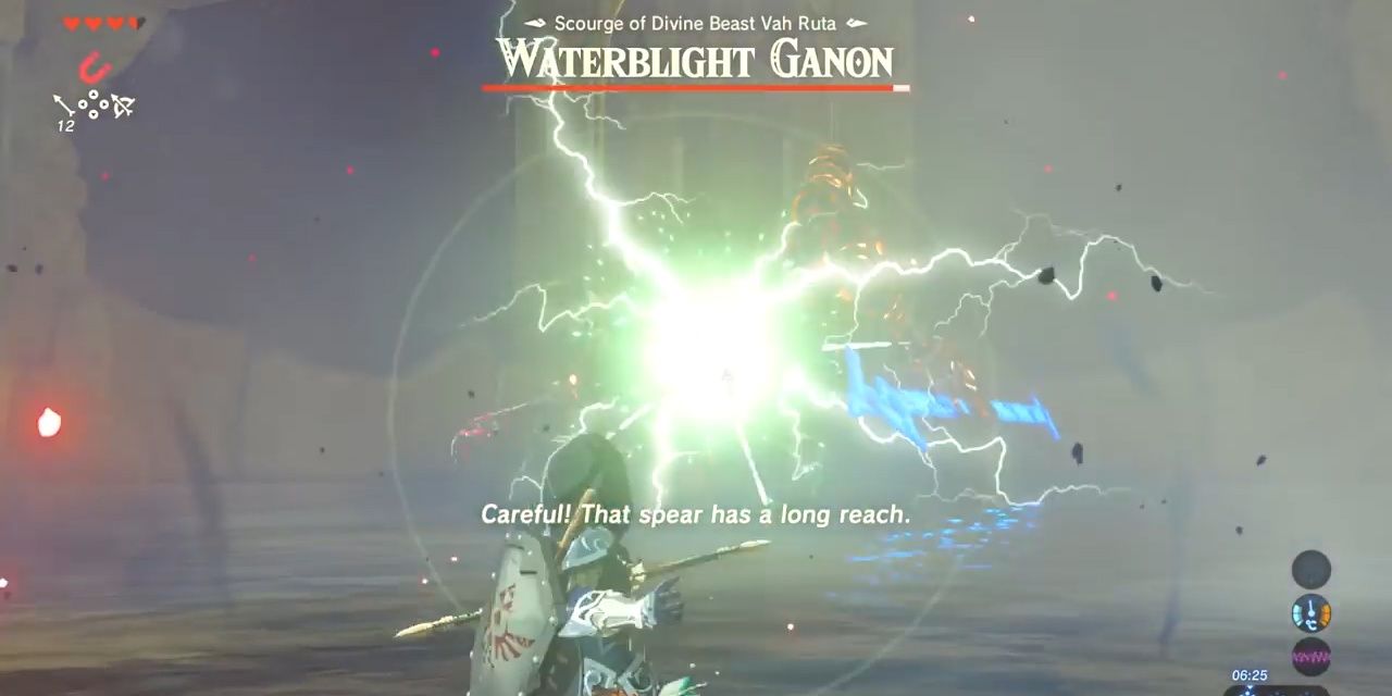 Breath Of The Wild: 10 Things You Didn't Know About The Zora