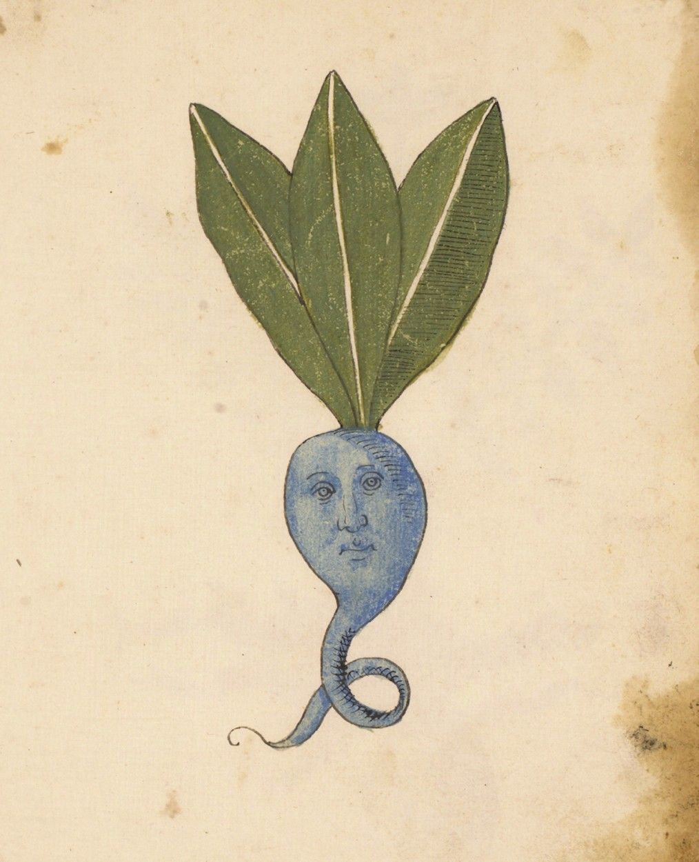 Pokémon: This 15th-Century Painting Looks Oddly Like Oddish