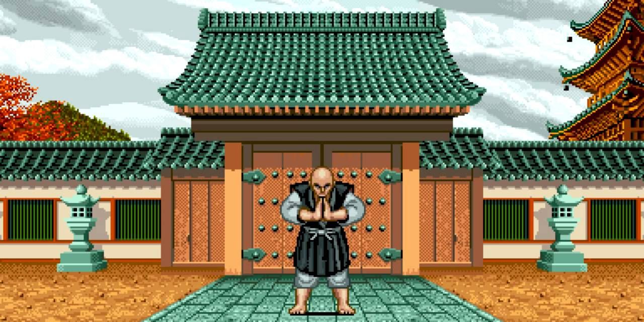 Street Fighter: 10 Great Characters That Are Still Inexplicably Missing ...