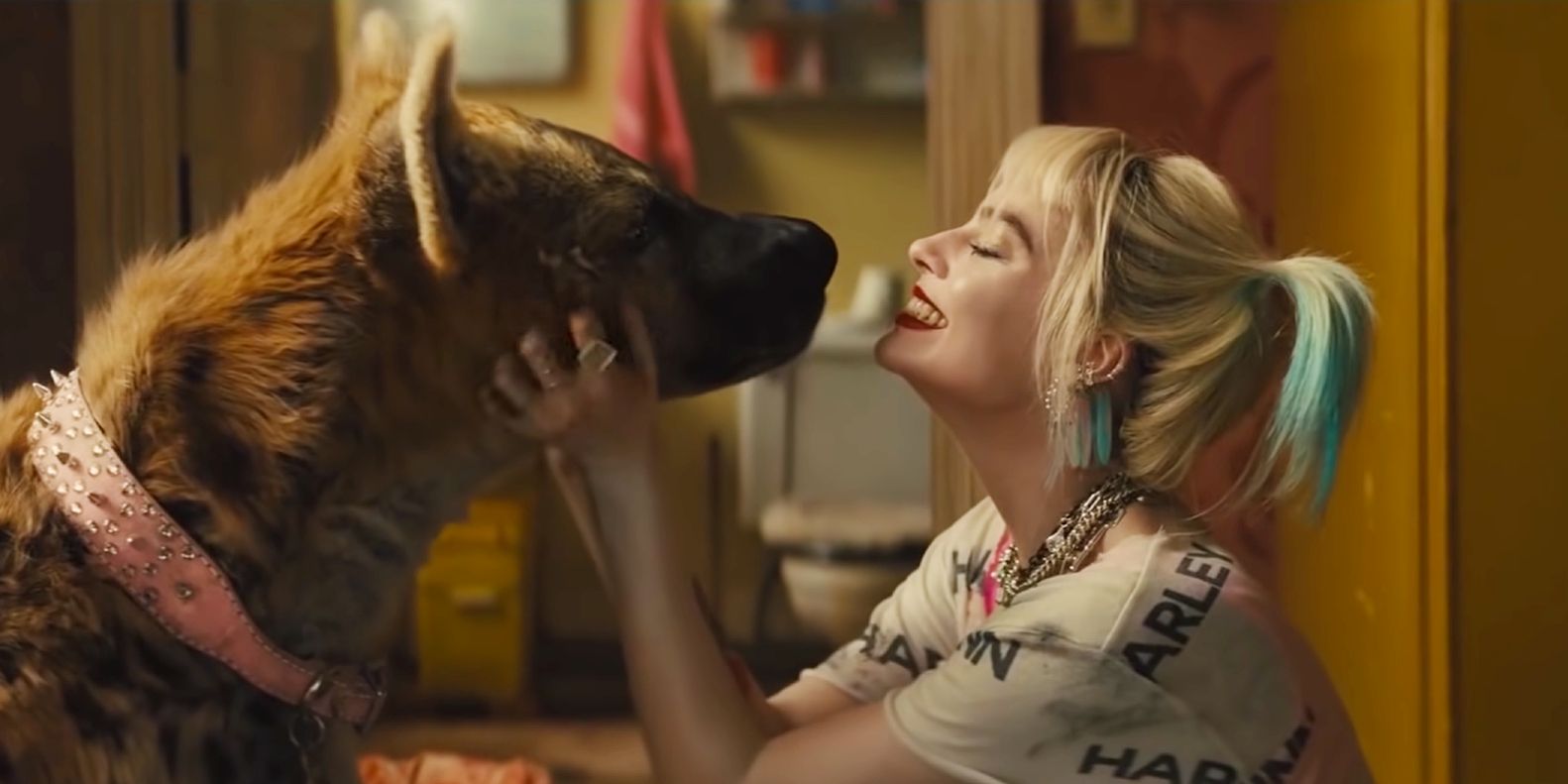 Puppy Named Harley Quinn Stolen at Gunpoint Reunited With Family