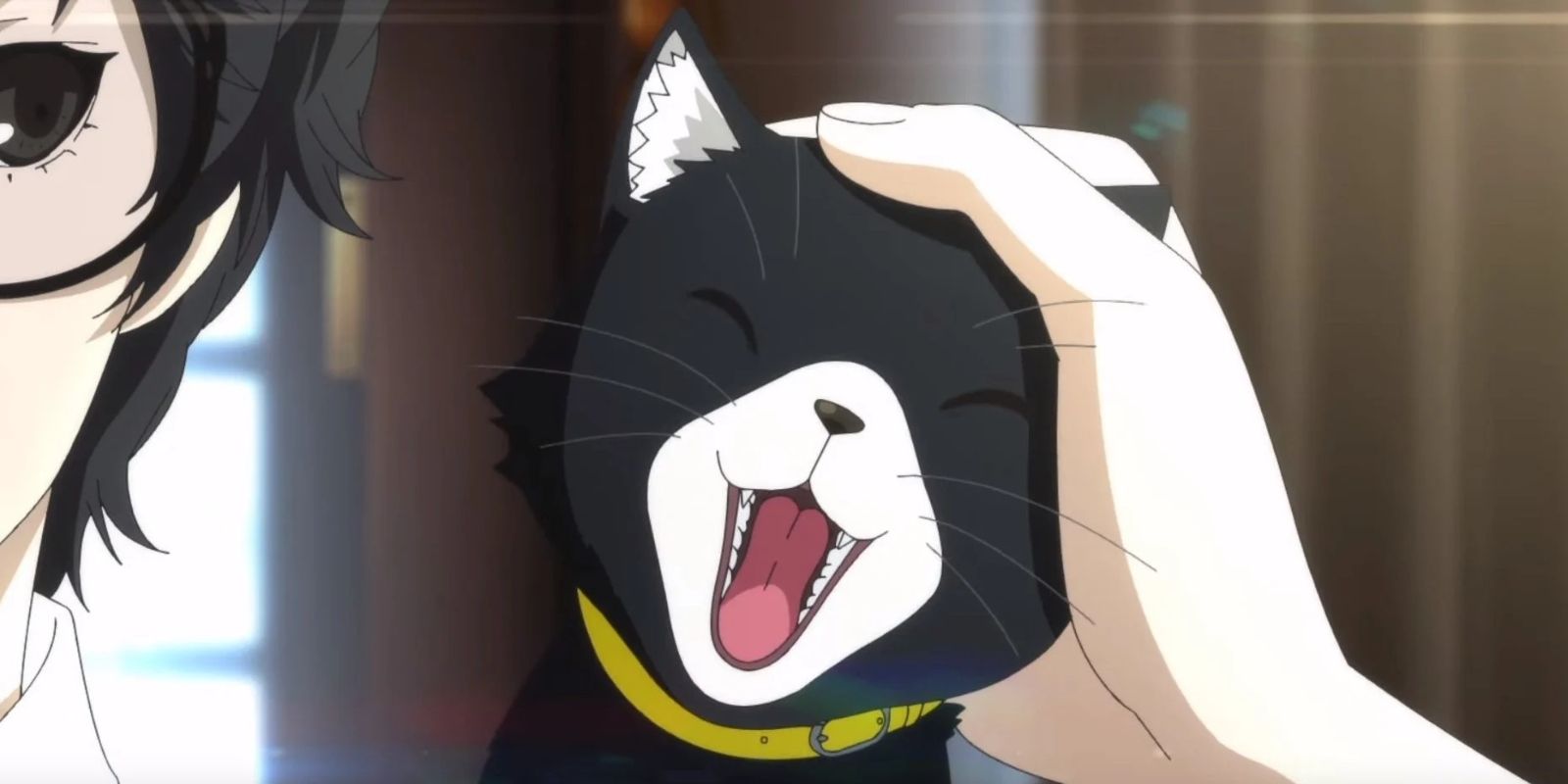 Persona: 5 Weird Facts About Morgana's Body