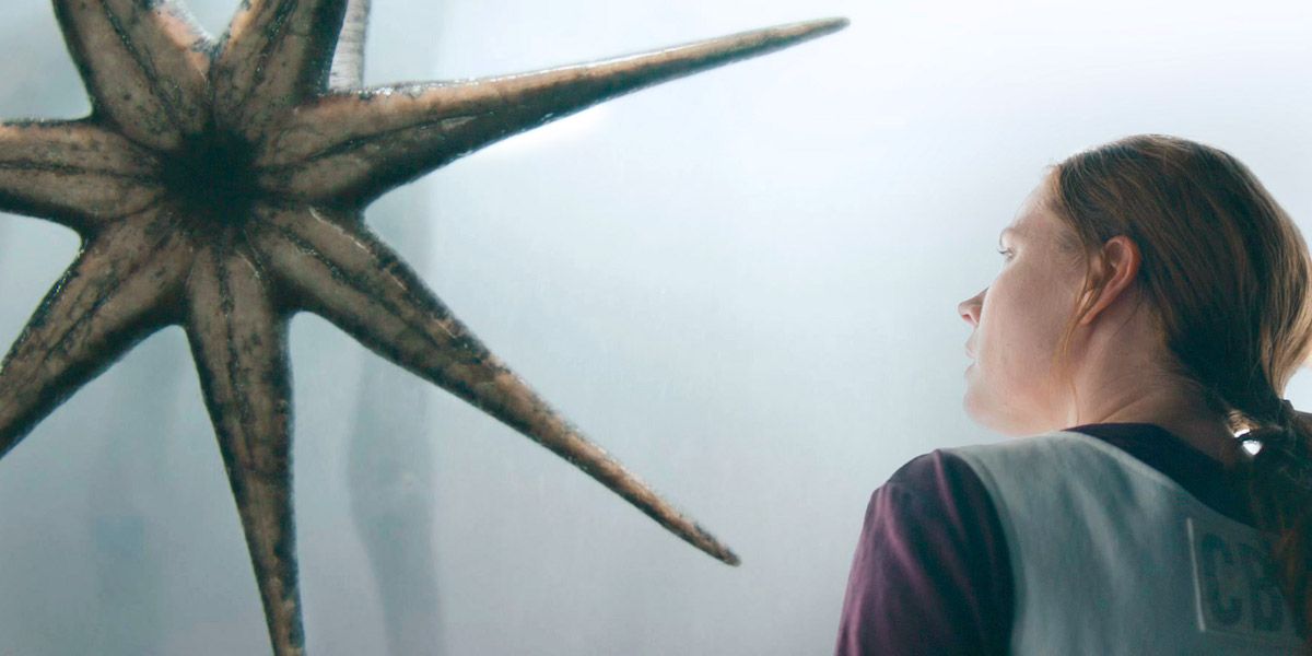 Arrival: Amy Adams' Louise Is the Biggest Monster - Not the Aliens