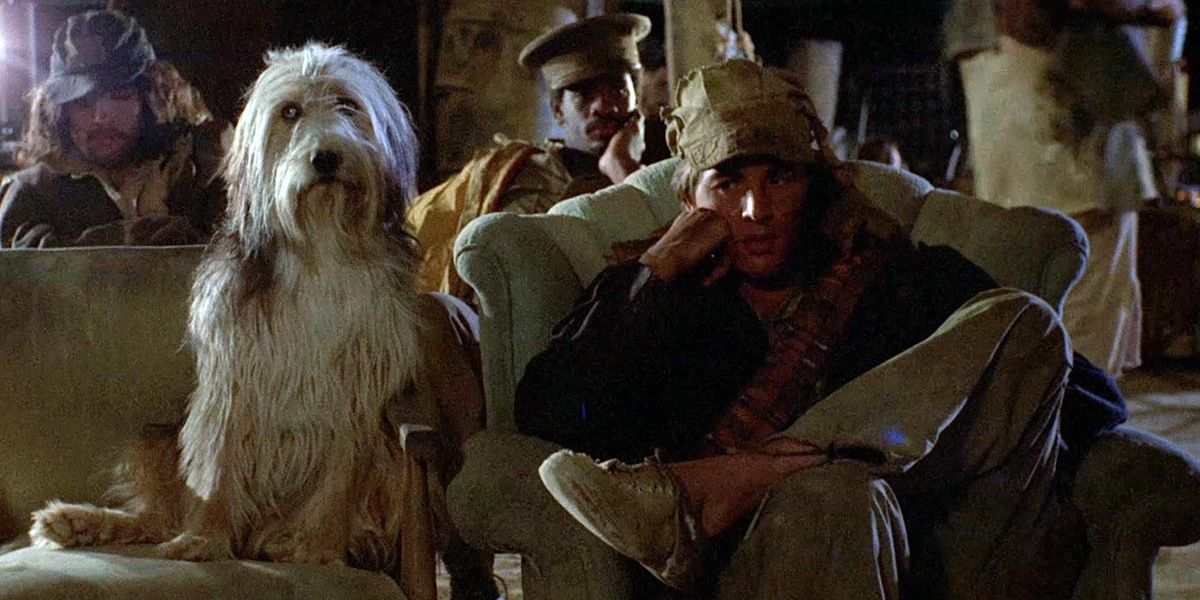 10 Movies Where The Dog Steals The Show