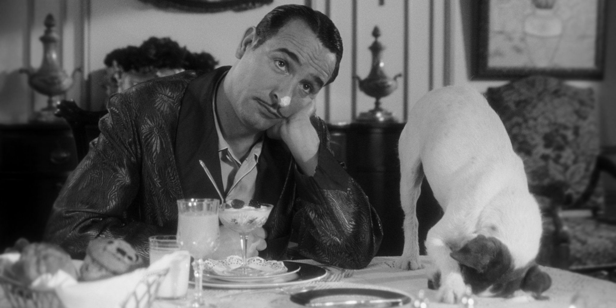 10 Movies Where The Dog Steals The Show