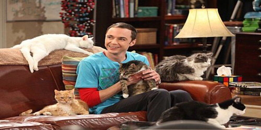 The Big Bang Theory: 10 Times Sheldon Proved He Loved Amy