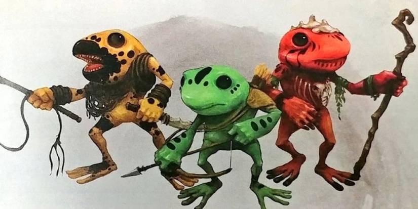 10 Weirdest D&D 5e Class And Race Combinations