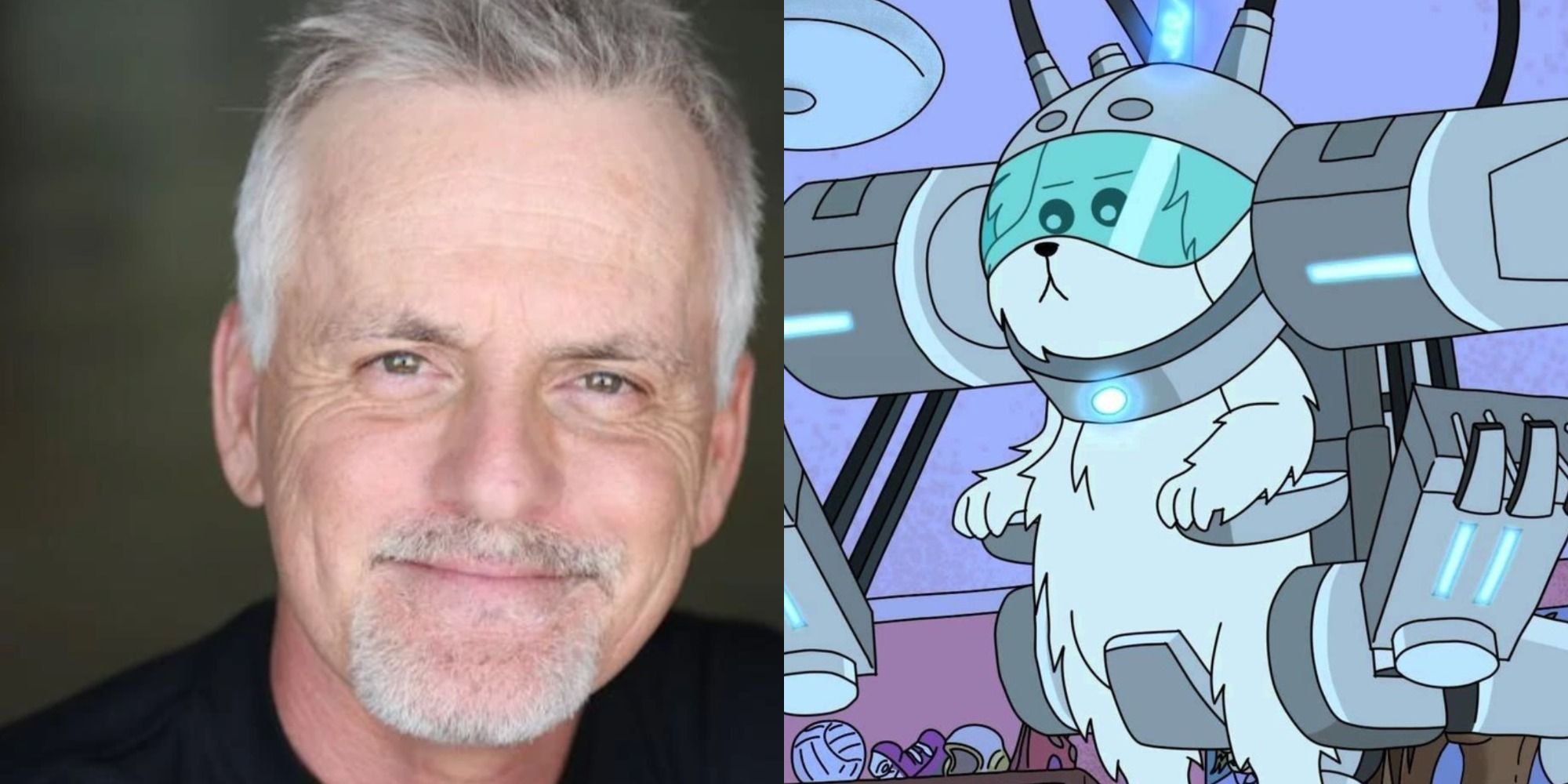 Rick & Morty: 5 Voice Actors Who Nailed Their Roles (& 5 Who Fell Short)