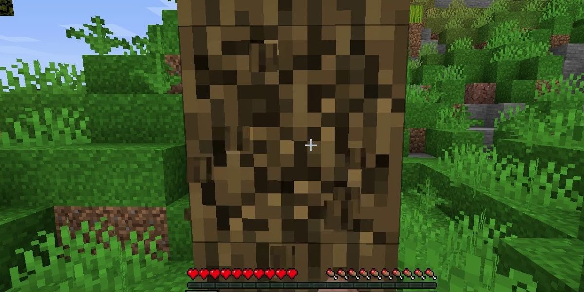 10 Unspoken Rules Of Minecraft