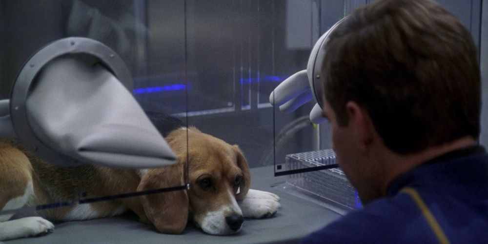 Star Trek: The 10 Weirdest Quotes From The Franchise