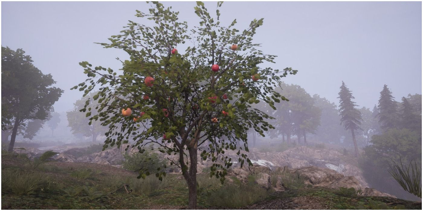 Medieval Dynasty: 10 Things We Wish We Knew Before We Started