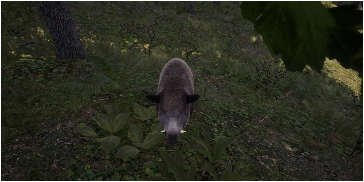 Medieval Dynasty: 10 Beginner Tips & Tricks