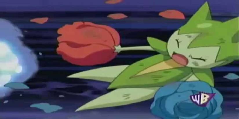 Pokémon: 10 Things You Didn't Know About Drew