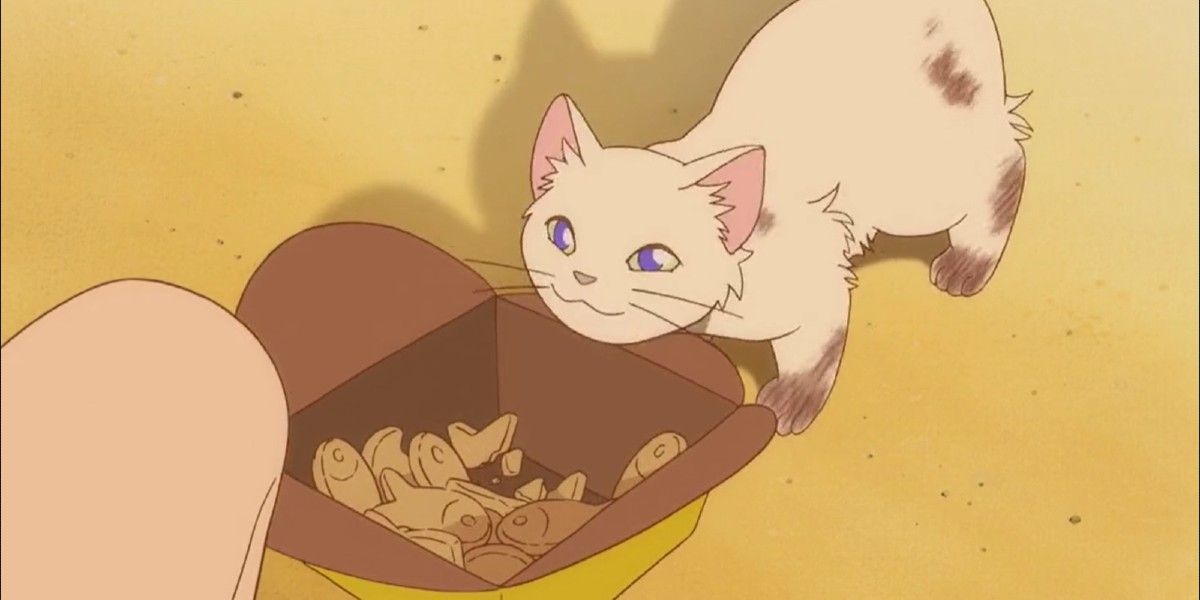 The Cat Returns: 10 Valuable Life Lessons Haru Learned